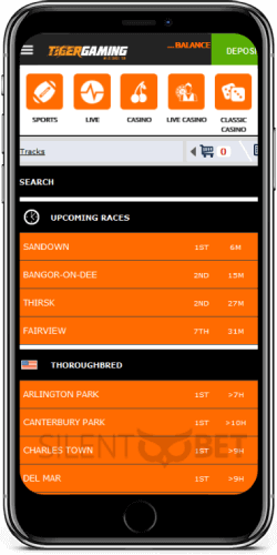 TigerGaming Mobile App for Android and iOS & Mobile Version (2024)