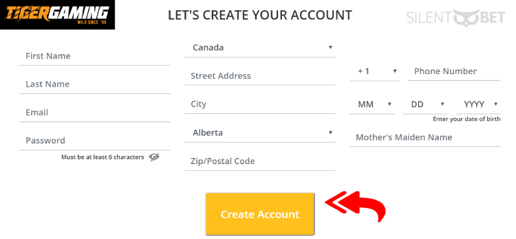 TigerGaming Review – Pros, Cons & Players’ Rating (2024)